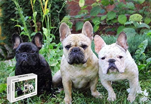 Cute Dogs 1000 Piece Jigsaw Puzzle for Adults and Kids- French Bulldogs ...