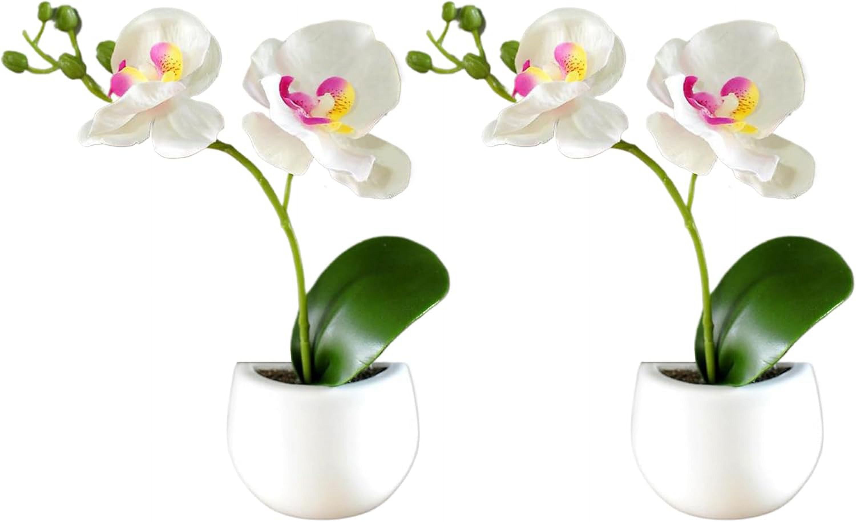 Cute Fridge Magnets Plant Decor:Artificial Plants Refrigerator Magnets ...