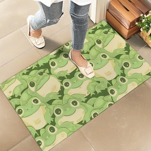 Cute Frog Indoor Door Mat 16x24 Inch Floor Doormat with Playful Animal ...