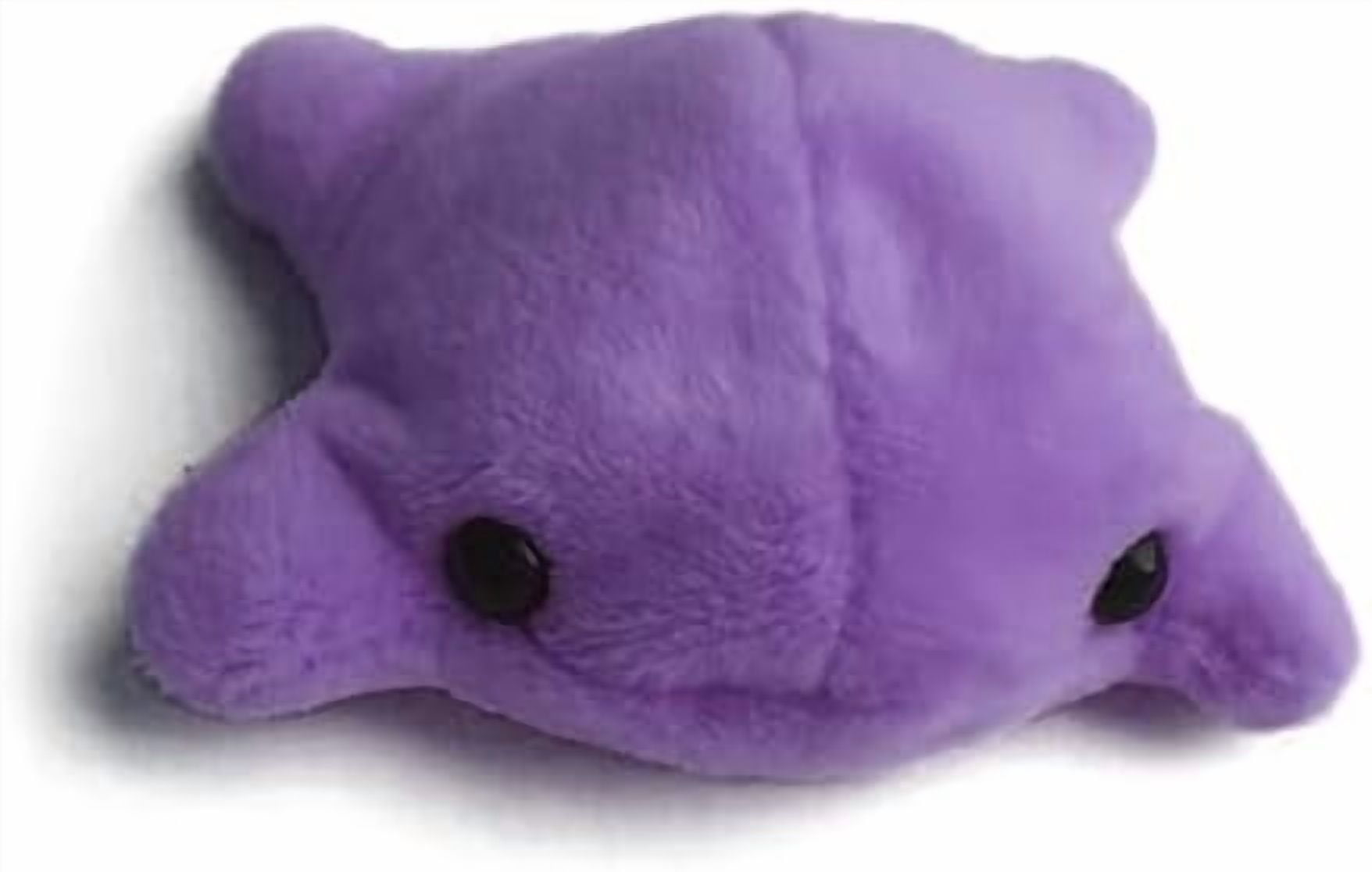 Cute Frog Keychain,Kawaii Frog Plush Keychain,Green Frog Purse Bag ...