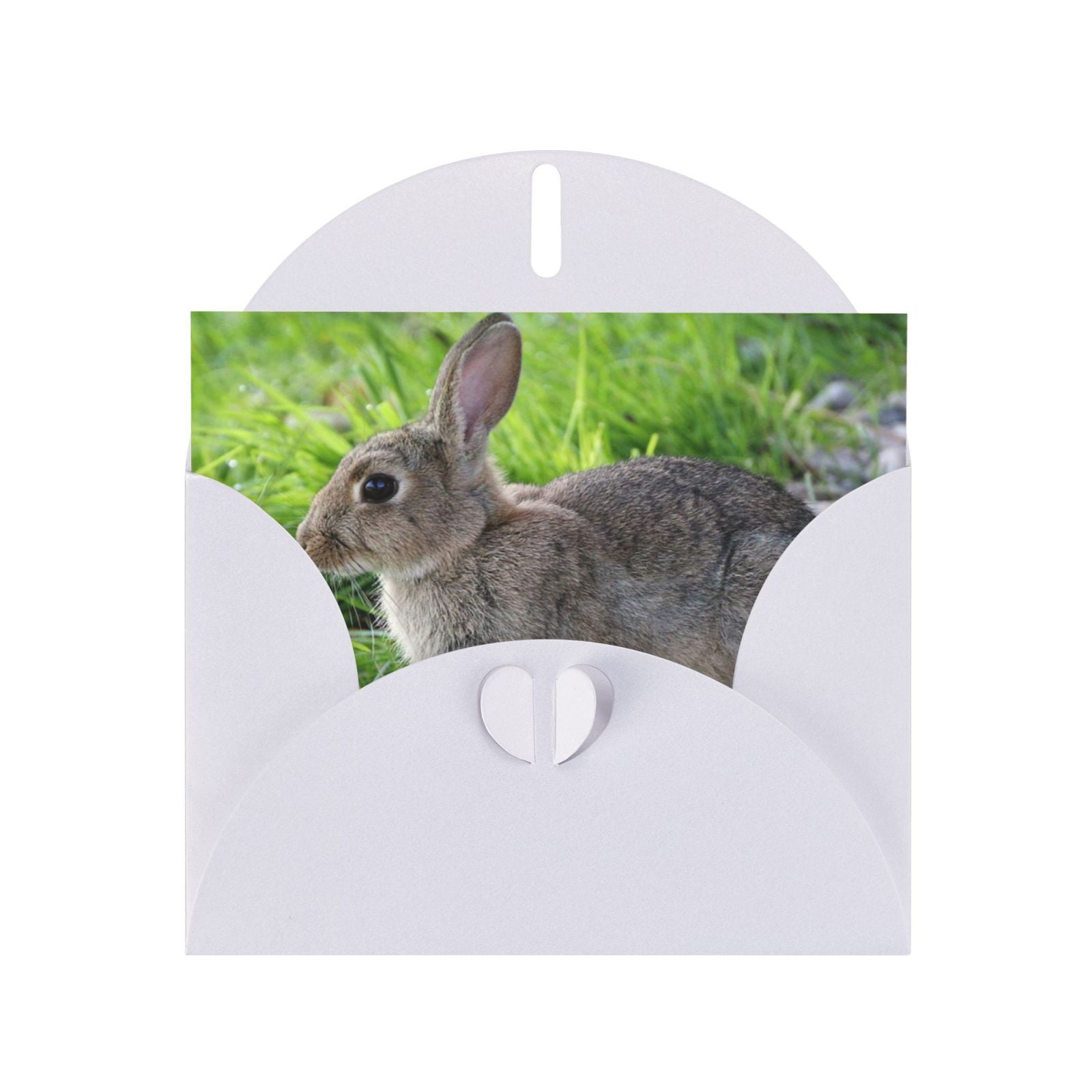 Cute Grey Hare Rabbit Birthday Cards Blank Cards Greeting Card With ...