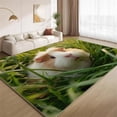 Cute Guinea Pig Area Rugs, Rodent Animal Pattern Carpet, Washable Non ...