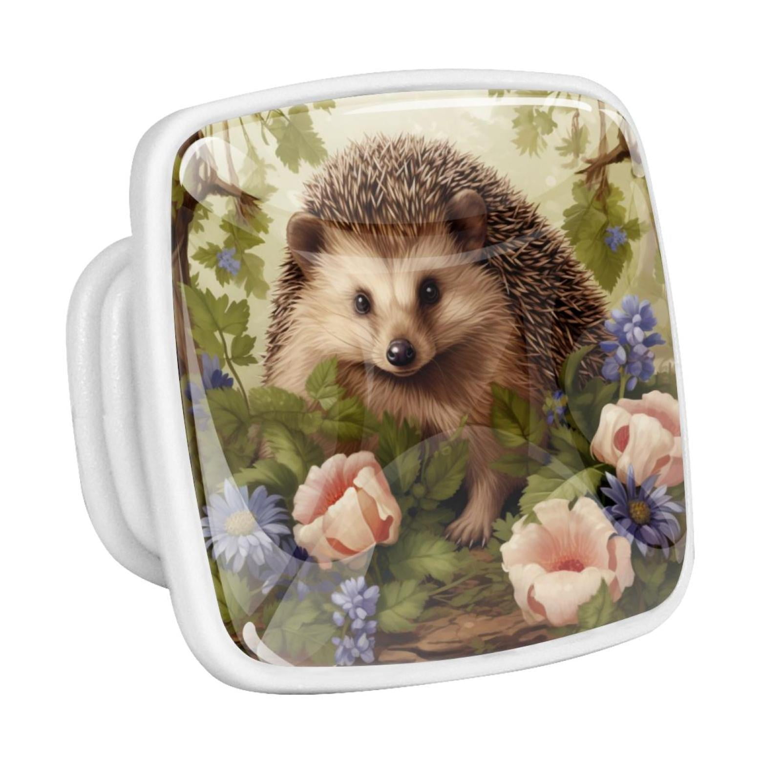 Cute Hedgehog Animals Fluorescent Drawer Pulls with Screws Square 4 ...