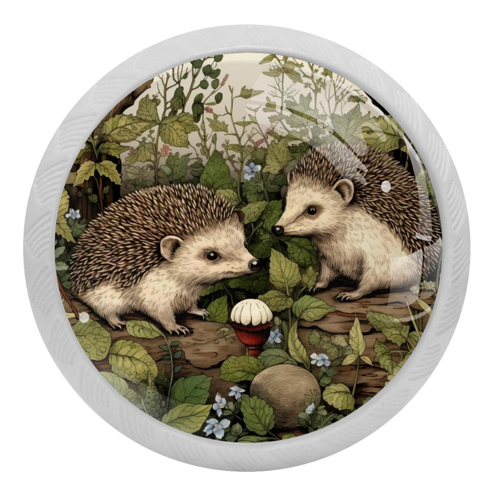Cute Hedgehog Animals Pattern 4PCS Cabinet Knobs Pulls Fluorescent ...