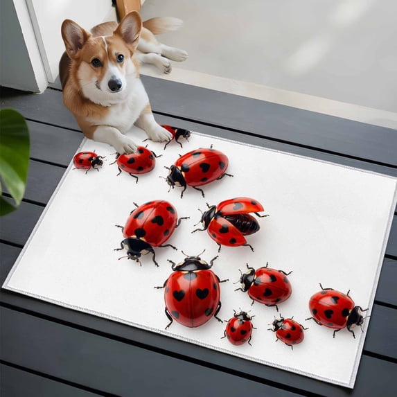 Cute Ladybug Washable Entry Rug 2x3 Realistic Love Heart Ladybug Rustic ...