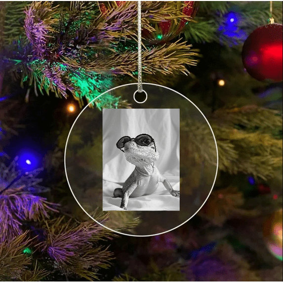 Cute Lizard With Sunglasses Cool Reptile Animal Photo Booth Ornament ...