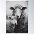 Cute Mom & Baby Sheep Vintage Animal Photo- Vintage Wall Arttrendy ...