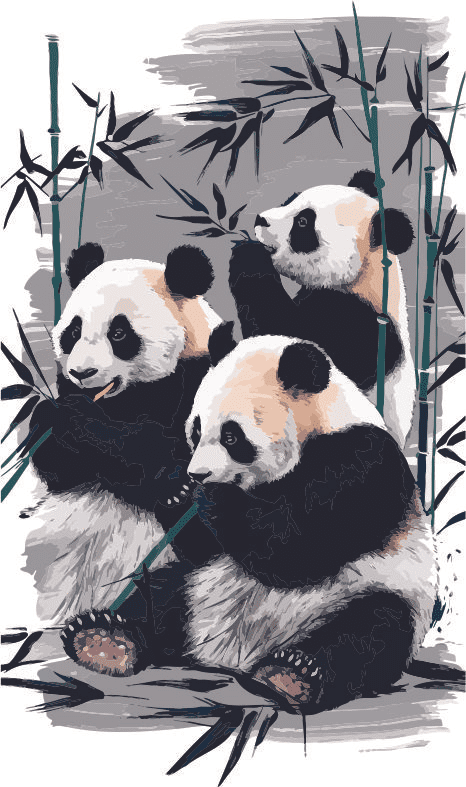 Cute Panda Bamboo Eating Animal Jungle Wild Adventure Colorful Animals ...