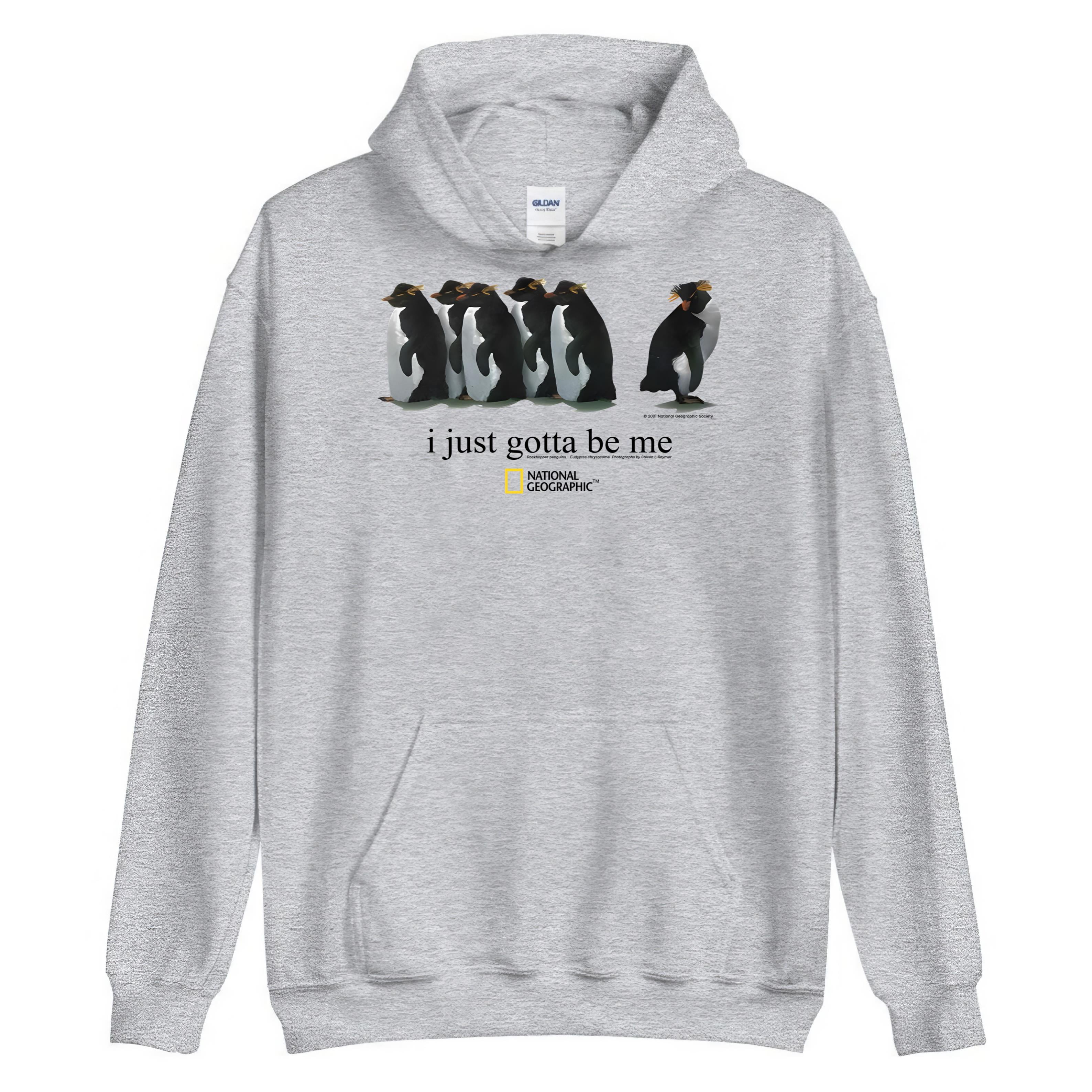 Cute Penguin Illustration Shirt, Cozy Winter Wildlife Tee, Fun Nature ...