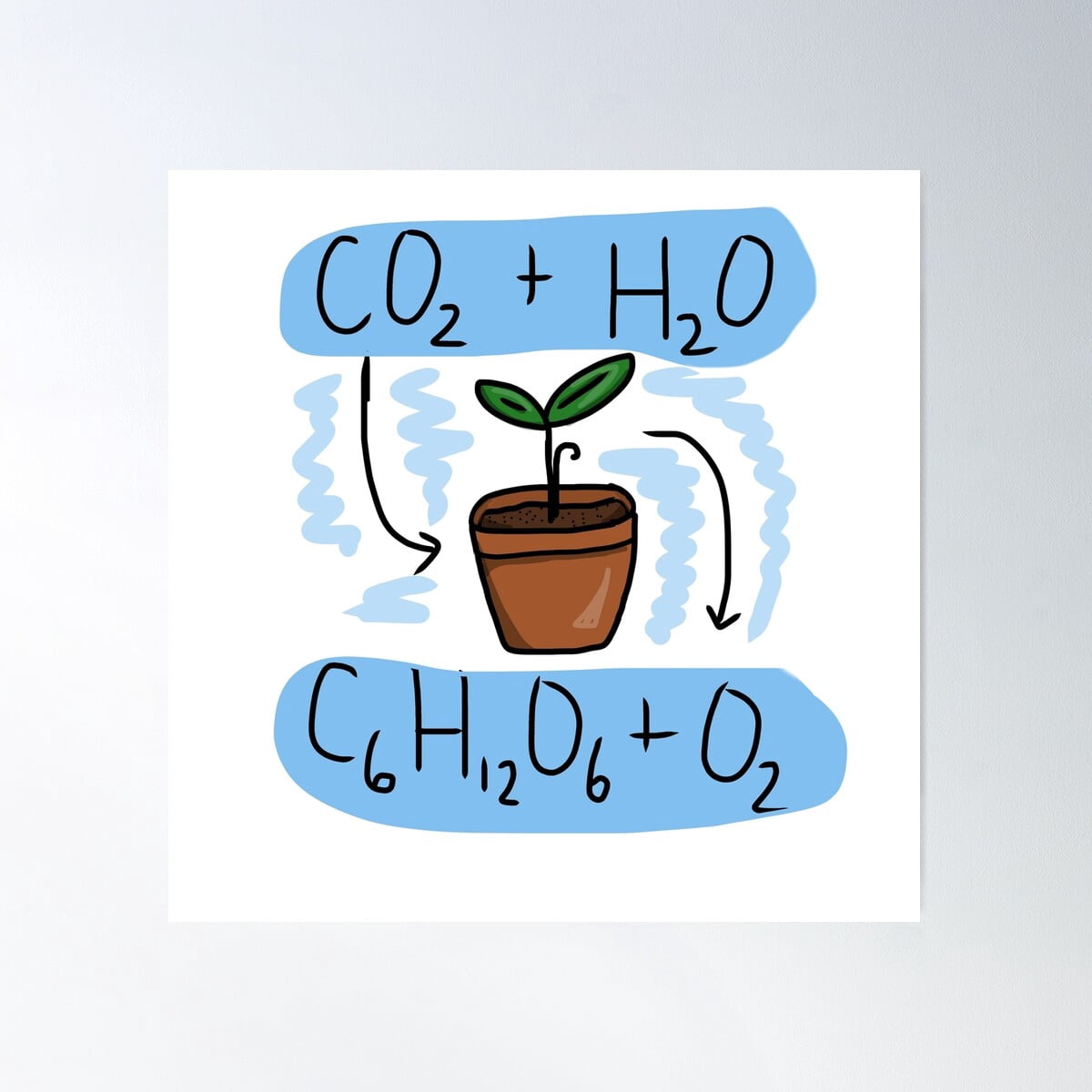Cute Plant Photosynthesis Design Poster Wall Art, Modern Wall Decor For ...