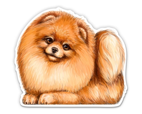 Cute Pomeranian - 5" Vinyl Sticker - For Car Laptop I-Pad - Waterproof ...
