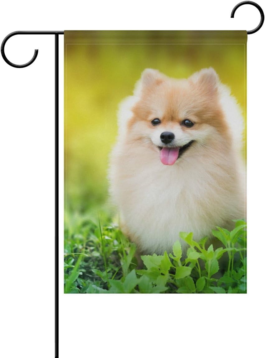 Cute Pomeranian Dog Decorative Double Sided House Flag 28 x 40 inch ...