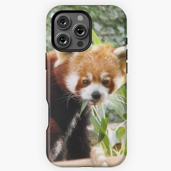 Cute Red Panda Animal Artwork Art iPhone Case 17 16 15 14 13 12 11 Pro ...