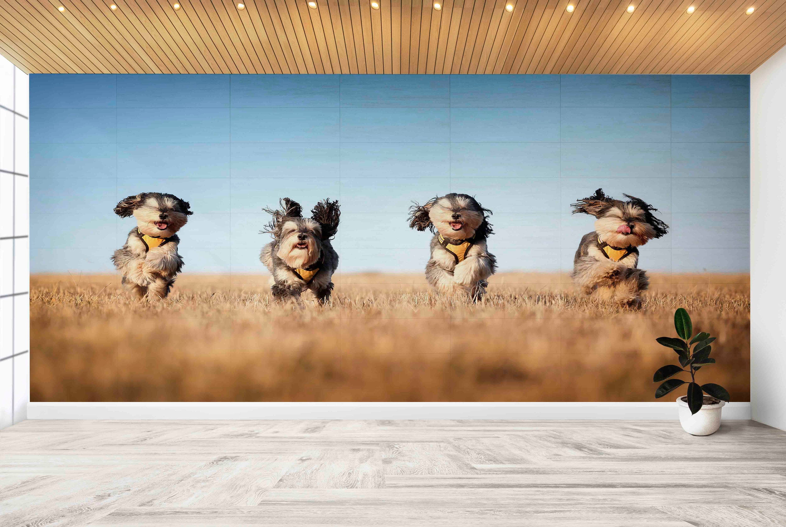 Cute Running Dogs, Paper Wall Art, 3D Wallpaper, Bright Wallpaper ...