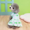 Cute Spring Summer Dog Outfit for Small Dogs - Stylish Two-Legged ...