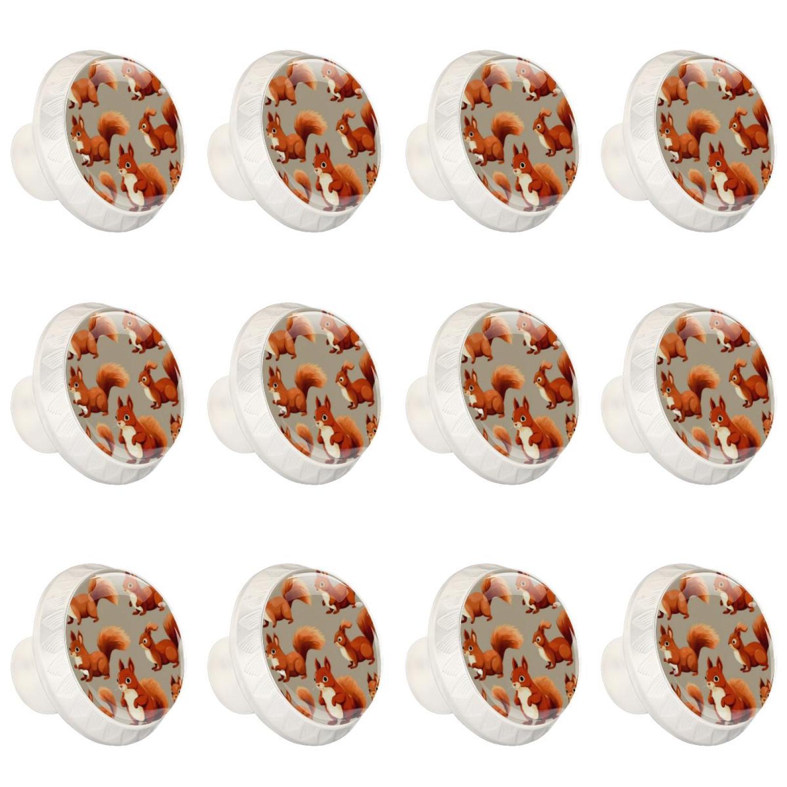 Cute Squirrel 12 Pcs White Round Drawer Pulls with Screws,ABS and Glass ...