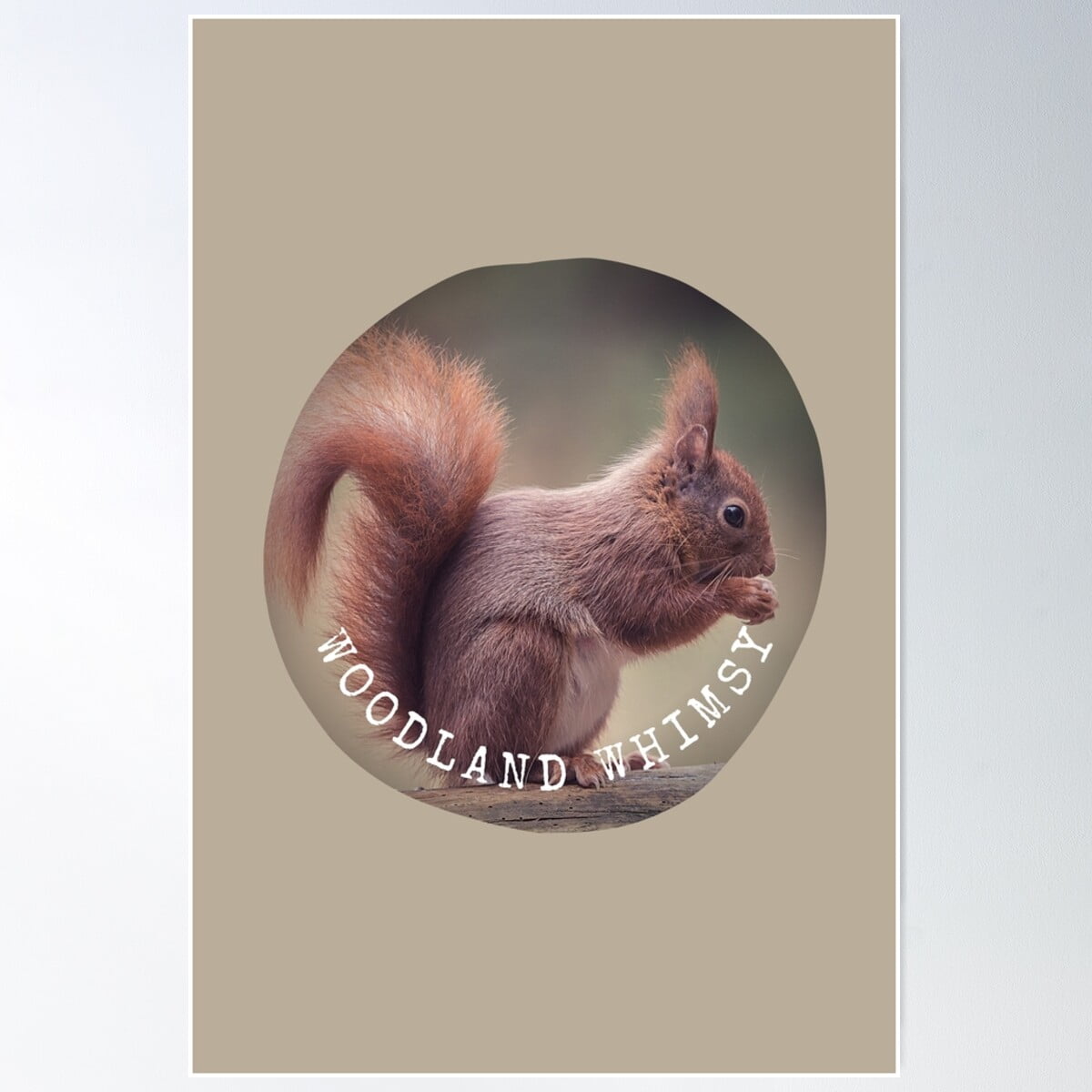 Cute Squirrel Woodland Animal Wild Forest Creature Nature Forestcore ...
