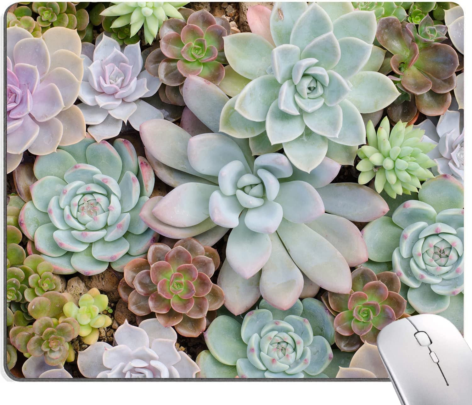 Cute Succulents Mouse Pad, Natural Plants Mousepad for Design, Anti ...