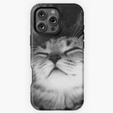 Cute Tabby Kitten Sleeping Adorable Cat Art Phone Case Compatible ...