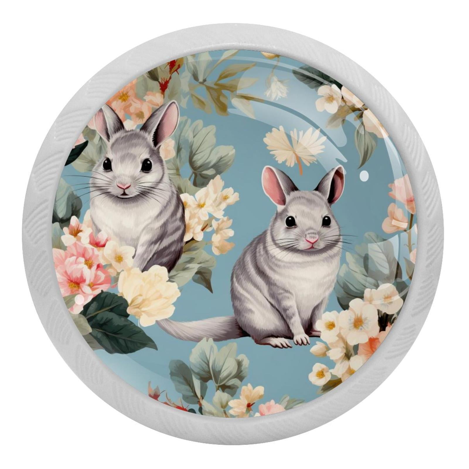 Cute Totoro Animals Chinchilla Pattern 4PCS Cabinet Knobs Pulls ...