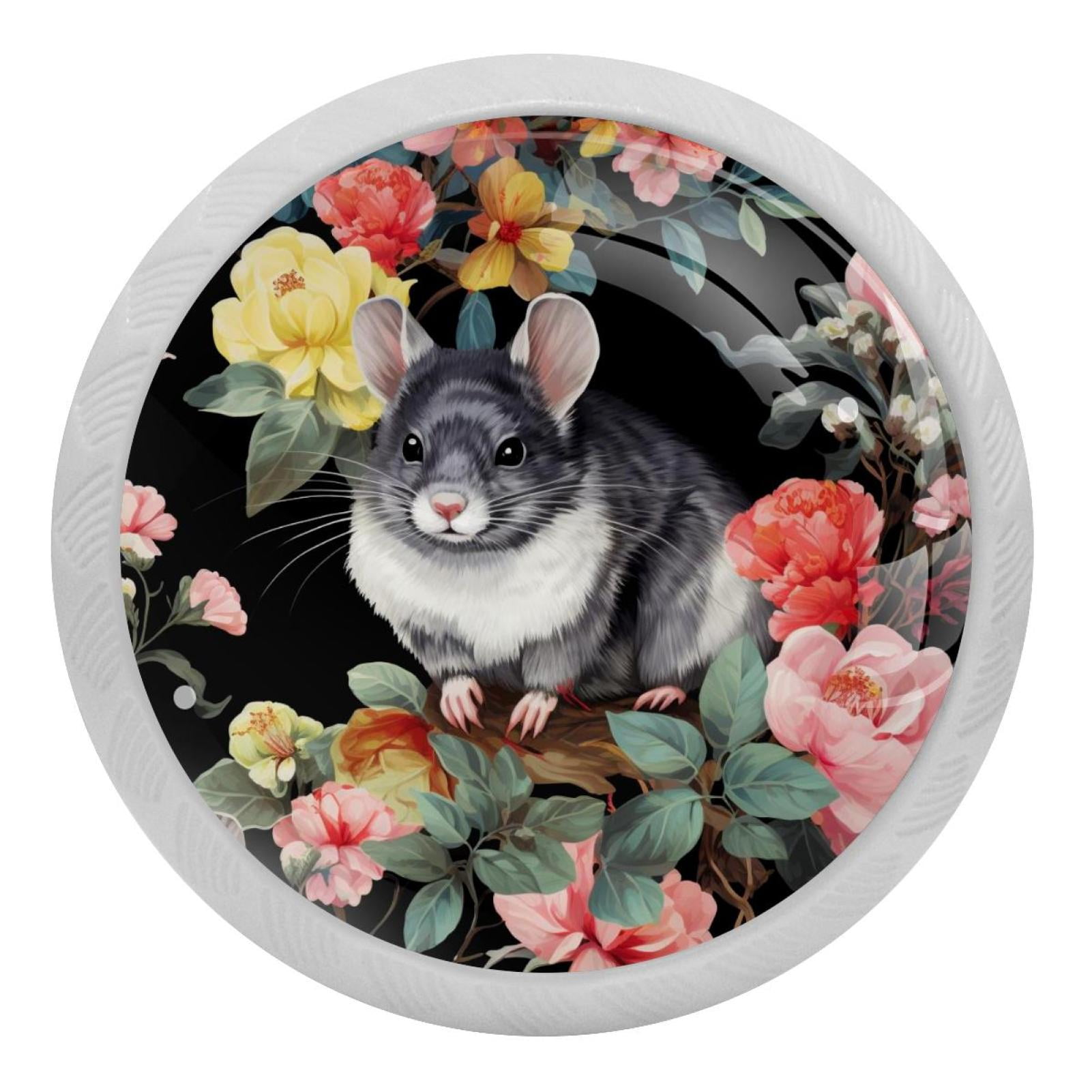 Cute Totoro Animals Chinchilla Pattern 4PCS Cabinet Knobs Pulls ...