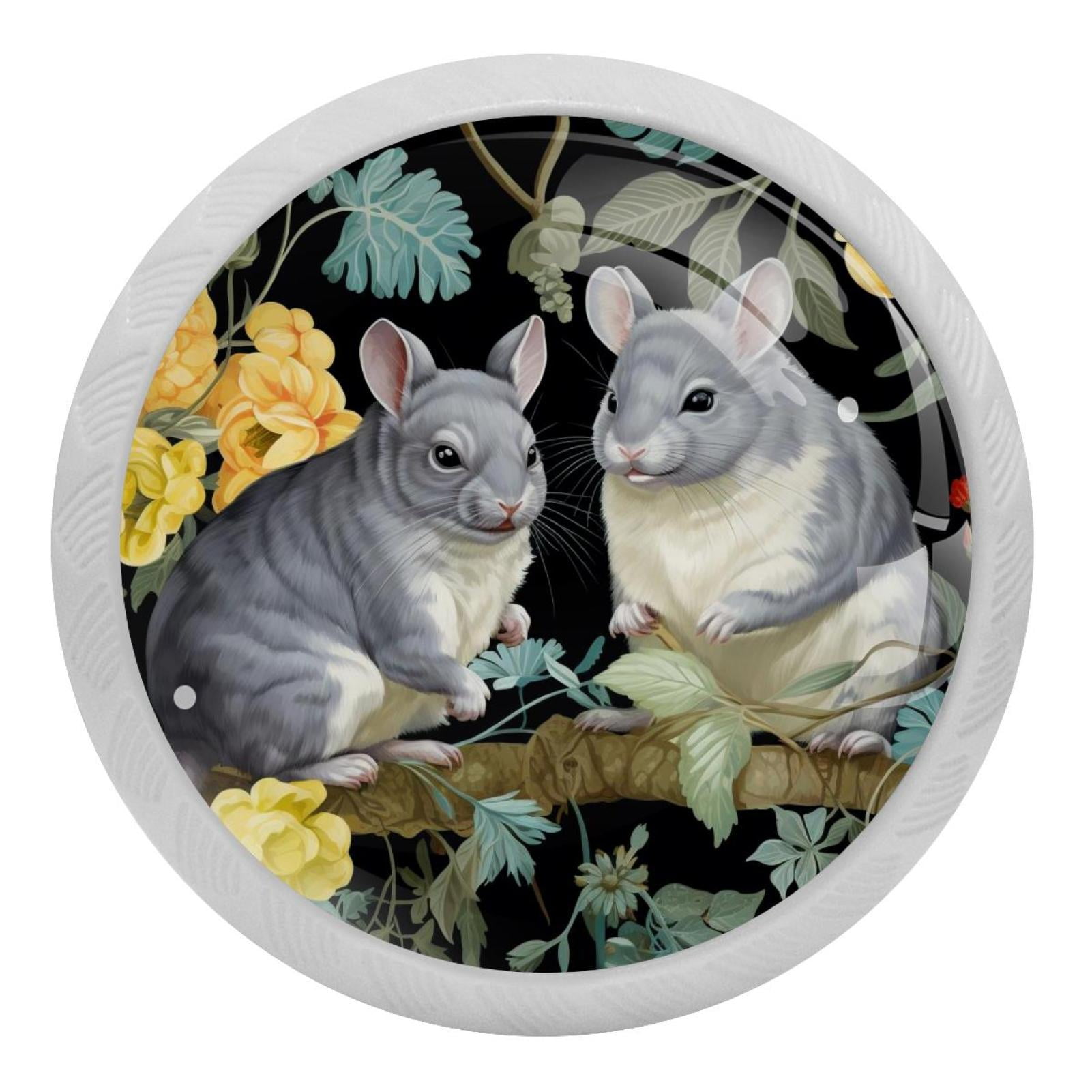 Cute Totoro Animals Chinchilla Pattern 4PCS Cabinet Knobs Pulls ...