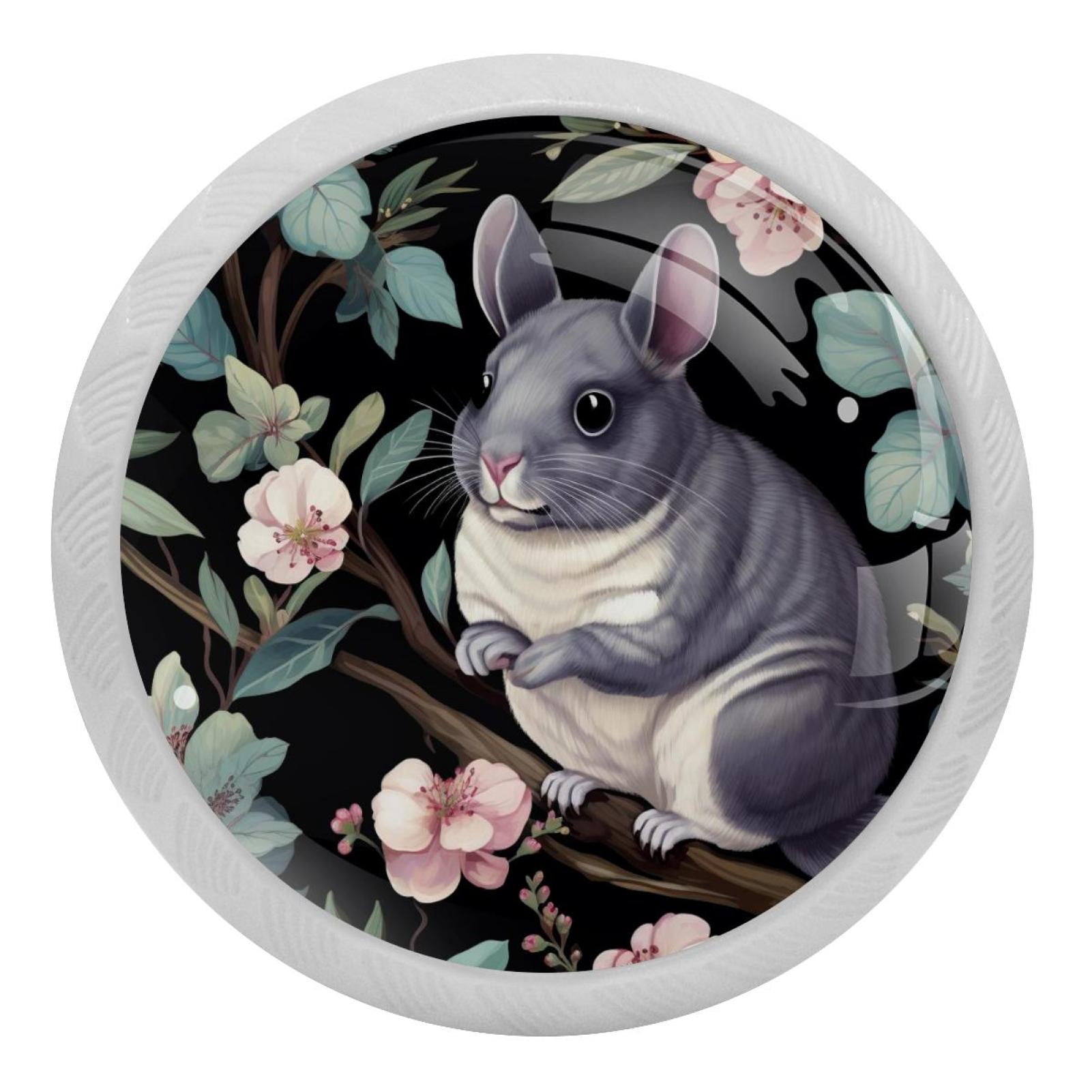 Cute Totoro Animals Chinchilla Pattern 4PCS Cabinet Knobs Pulls ...