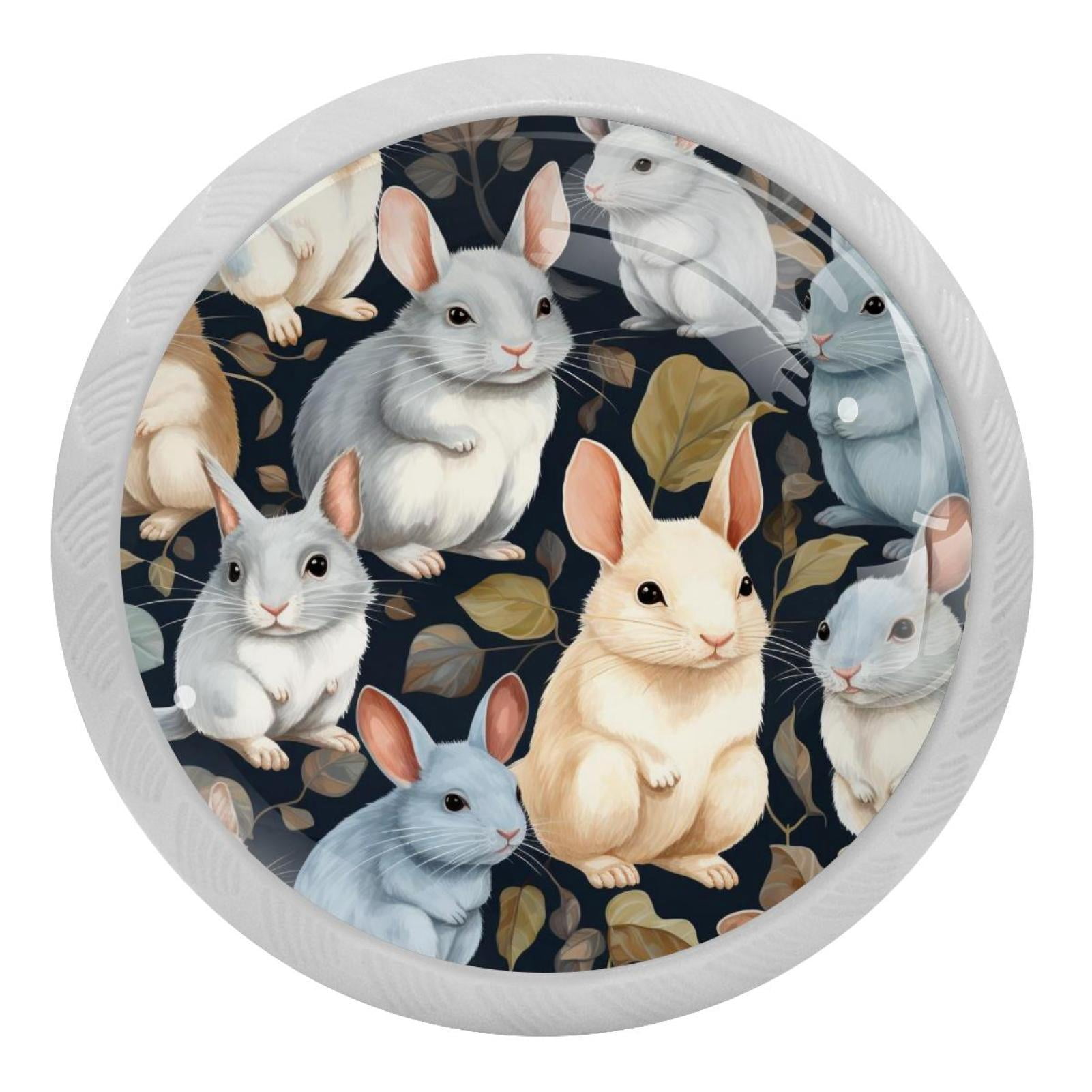 Cute Totoro Animals Chinchilla Pattern 4PCS Cabinet Knobs Pulls ...