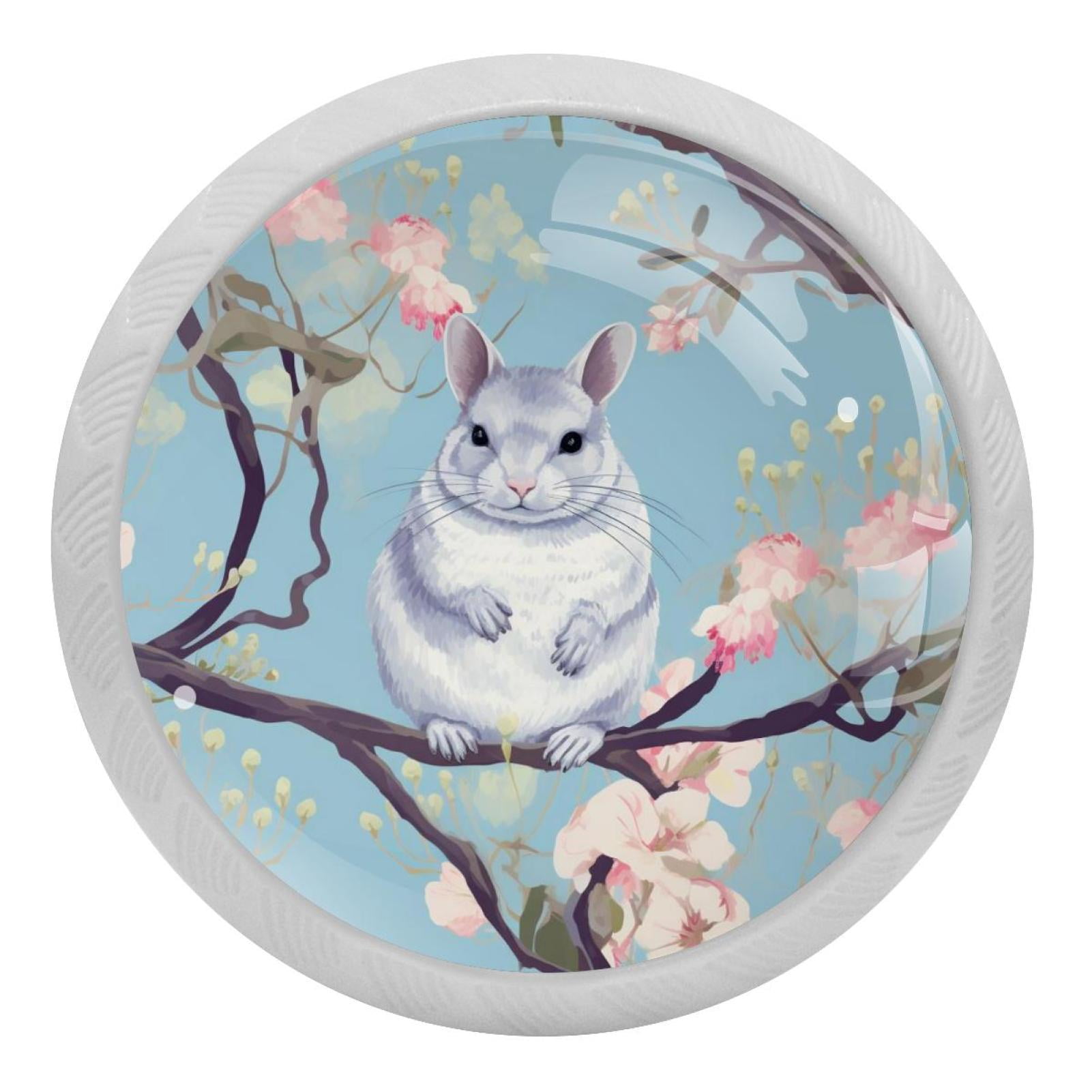 Cute Totoro Animals Chinchilla Pattern 4PCS Cabinet Knobs Pulls ...