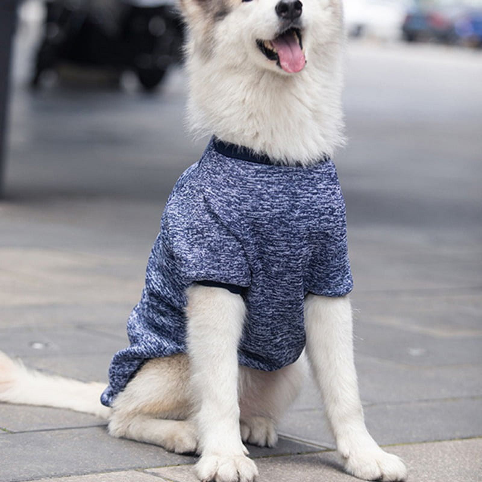 Cute Warm Dog Clothes, Classic Pet Swearshirt for Dogs Girls Boys, Four ...