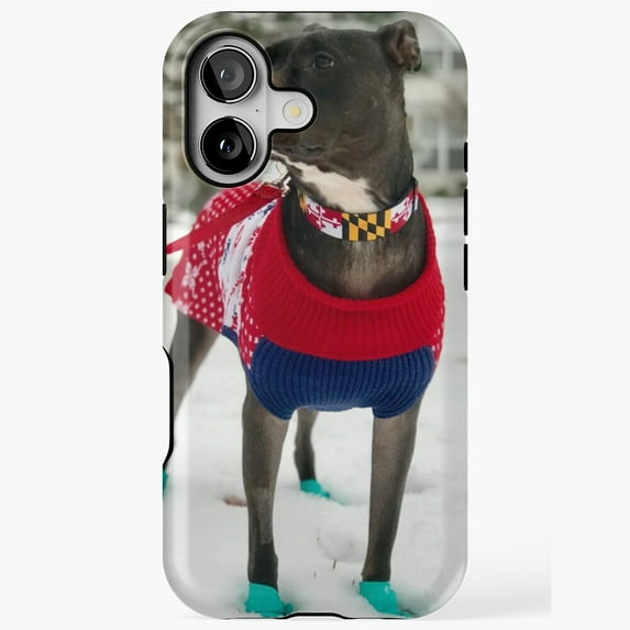 Cute Winter Dog in Snowy Weather Phone Case with iPhone 17 to 11 Pro ...