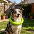 Cutebling Dog Chewing Ring - Dog Ring Toy Dental Chewing Teething ...