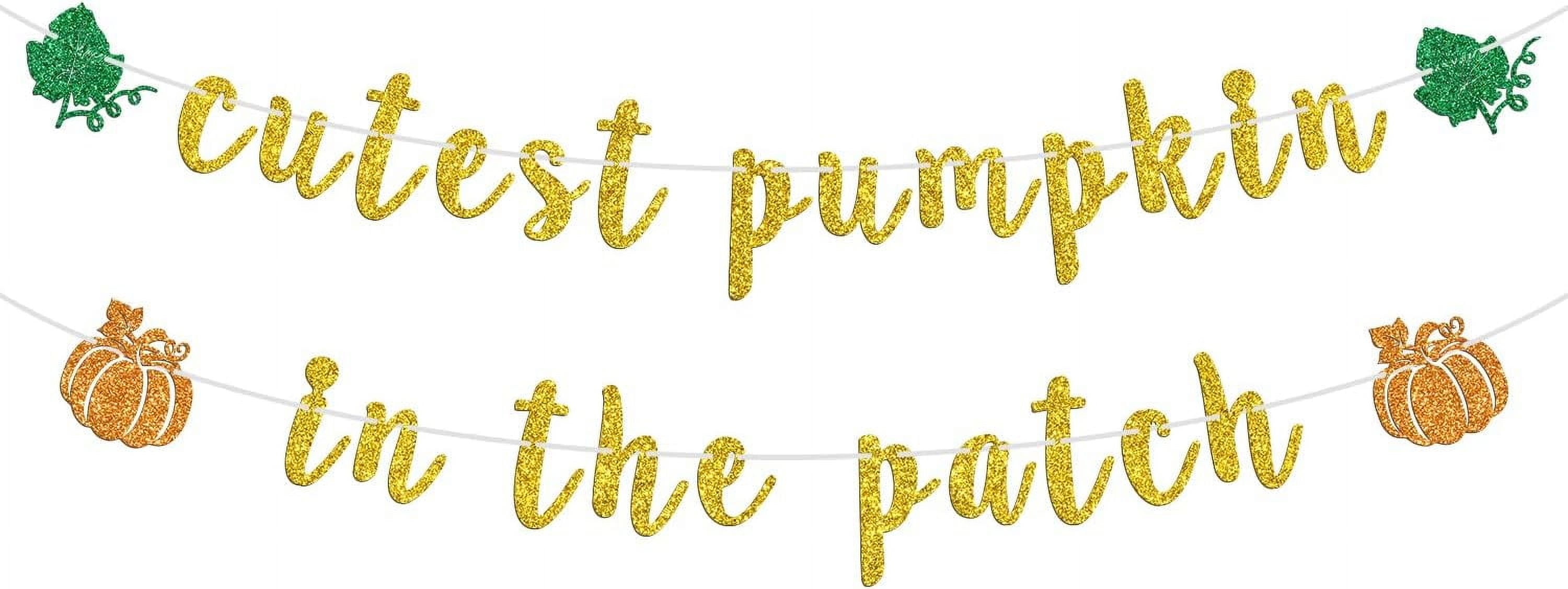 Cutest Pumpkin in the Patch Banner,Fall Pumpkin 1st Birthday Decor,A ...