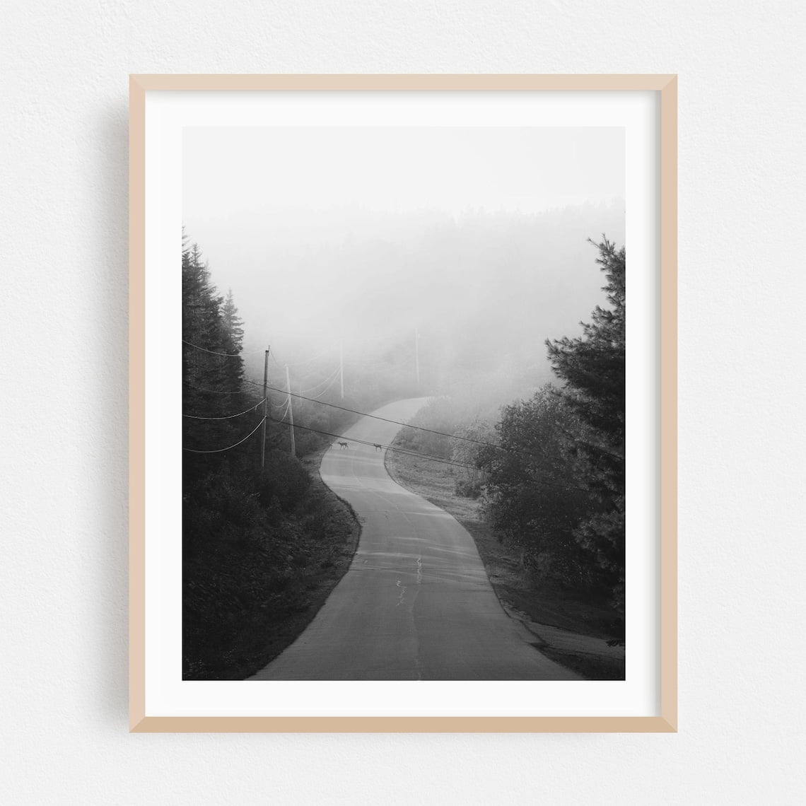 Cutler Maine Black and White Art Nature Forest Scenic Fine Art Rural ...