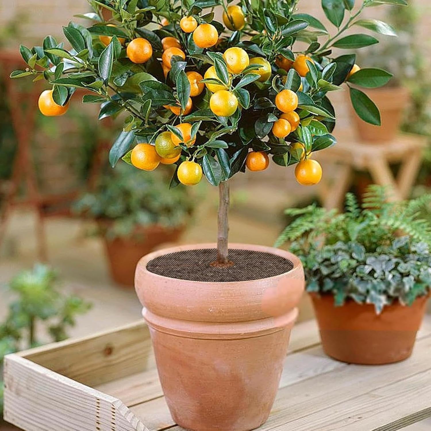 Cuttable Plant Pot Soil Cover Mesh, 11.8in Round Flower Pot Grid ...