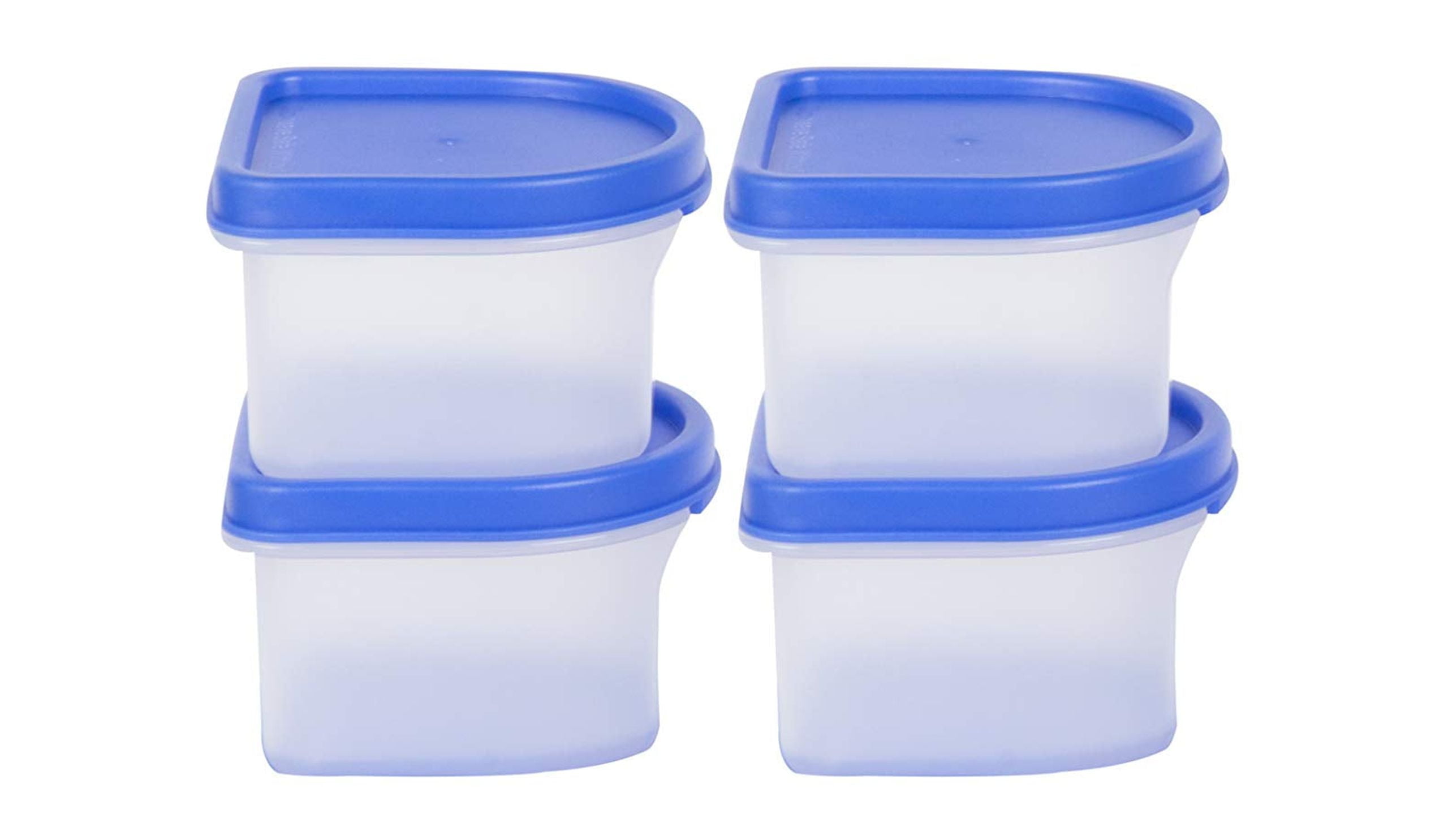 Cutting Edge Modular Containers Oval With Plain Lid Set For Rice, Dal ...