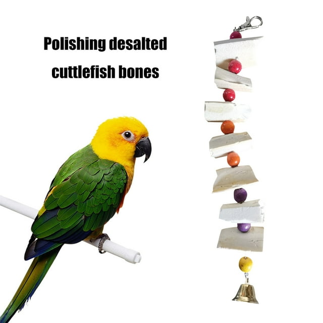 Cuttle Bone for Birds, Chewing Cuttlefish Bones Hanging Bell Calcium ...