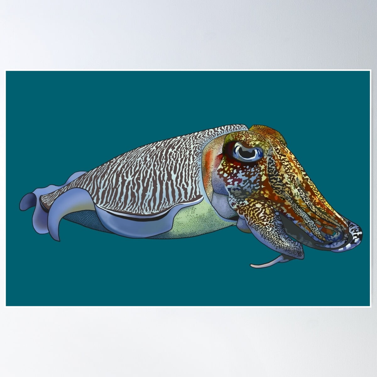 Cuttlefish 2 Poster Wall Art, Modern Wall Decor For Living Room Bedroom ...
