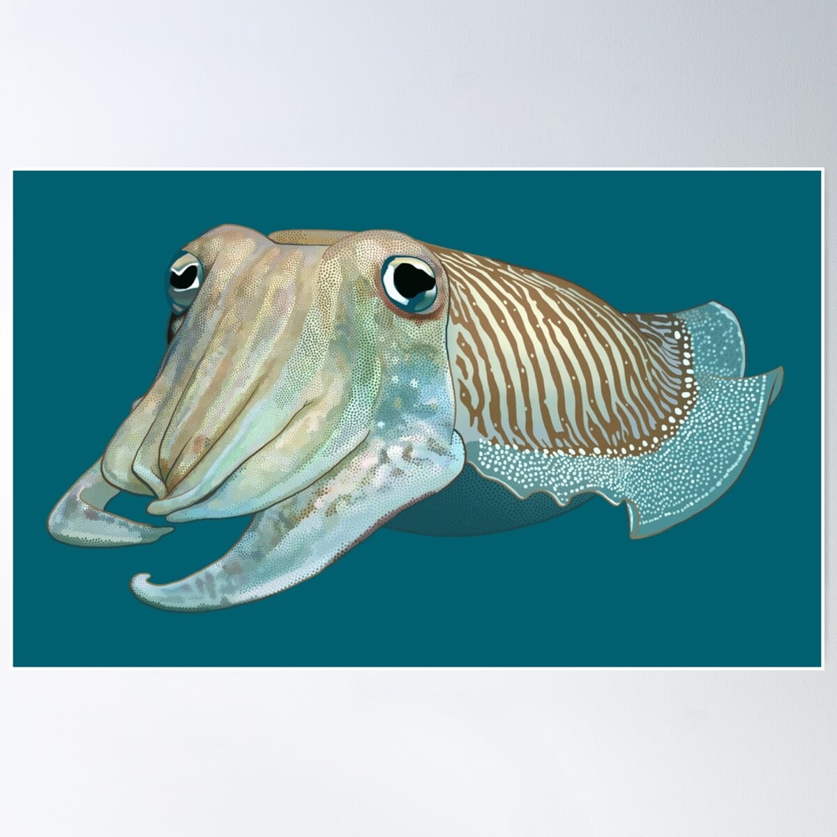 Cuttlefish 3 Poster Wall Art, Modern Wall Decor For Living Room Bedroom ...