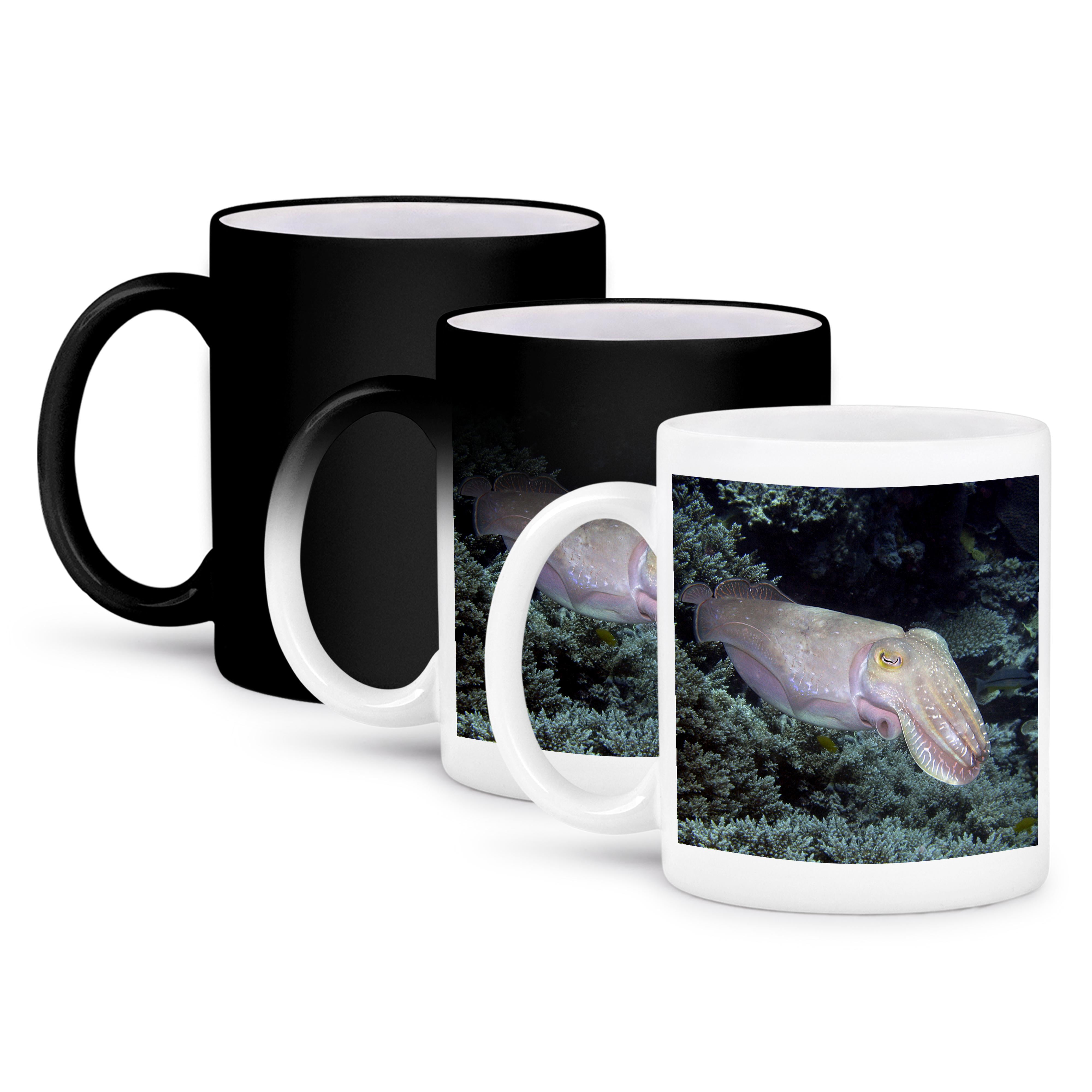 Cuttlefish, Agincourt Reef, Great Barrier Reef, Australia-Au01 Dwa3029 ...