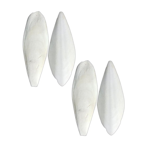 Cuttlefish Bone Bird Cuttlebone for Parakeets Cuttlebone for Birds ...