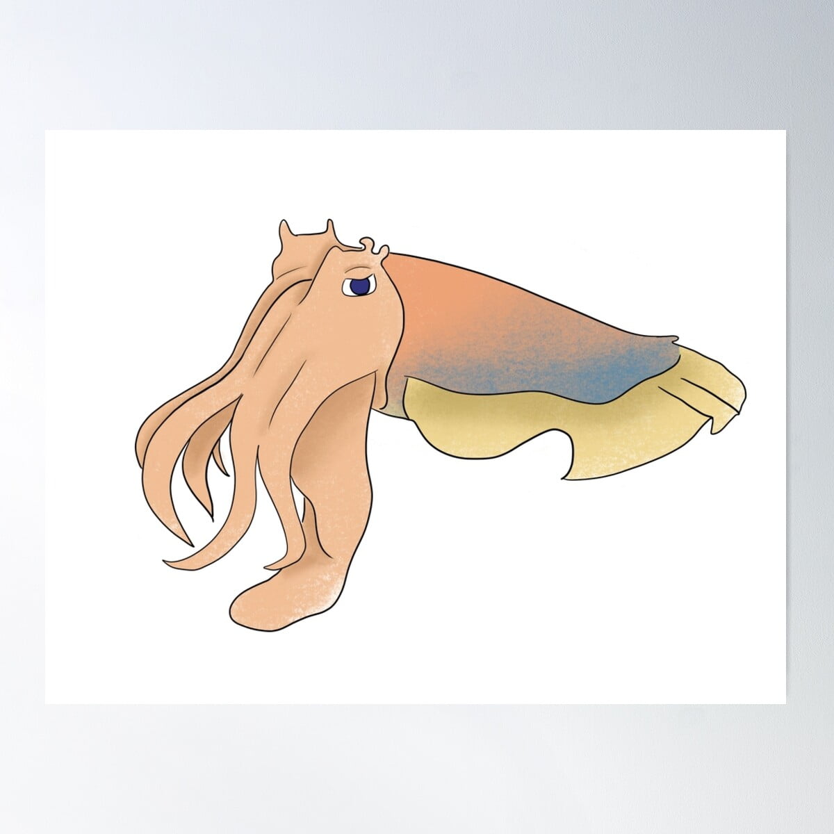 Cuttlefish Poster Wall Art, Modern Wall Decor For Living Room Bedroom ...