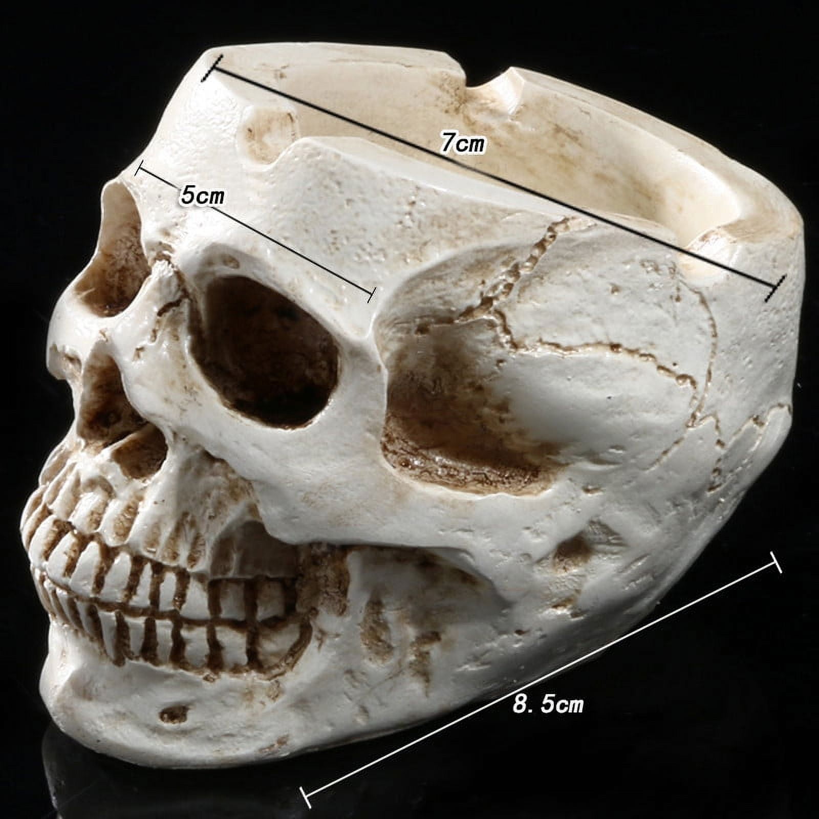 CxhicLuv 2pc Skeleton Ashtray Resin Simulation Model, Halloween Skull Resin Crafts, Home Bar and ...