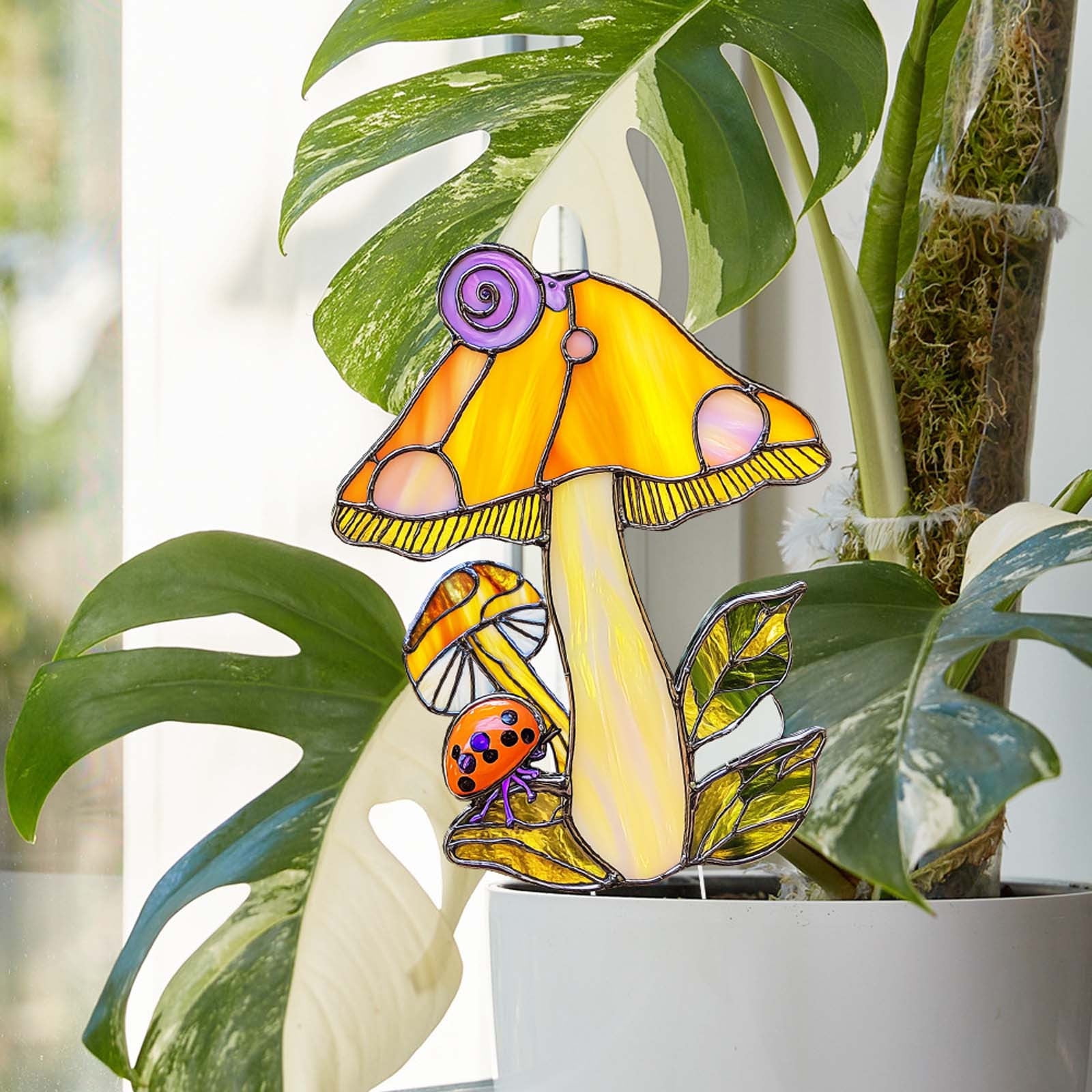 CxhicLuv Acrylic Potted Plugin, 2.4×3.9 Inch Clear, Simple Shape ...