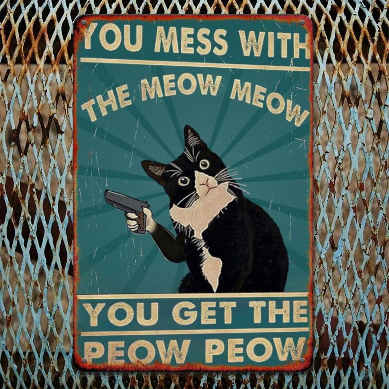 CxhicLuv Humorous Cat Wall Hanging Tin Sign, “You Mess With The Meow ...