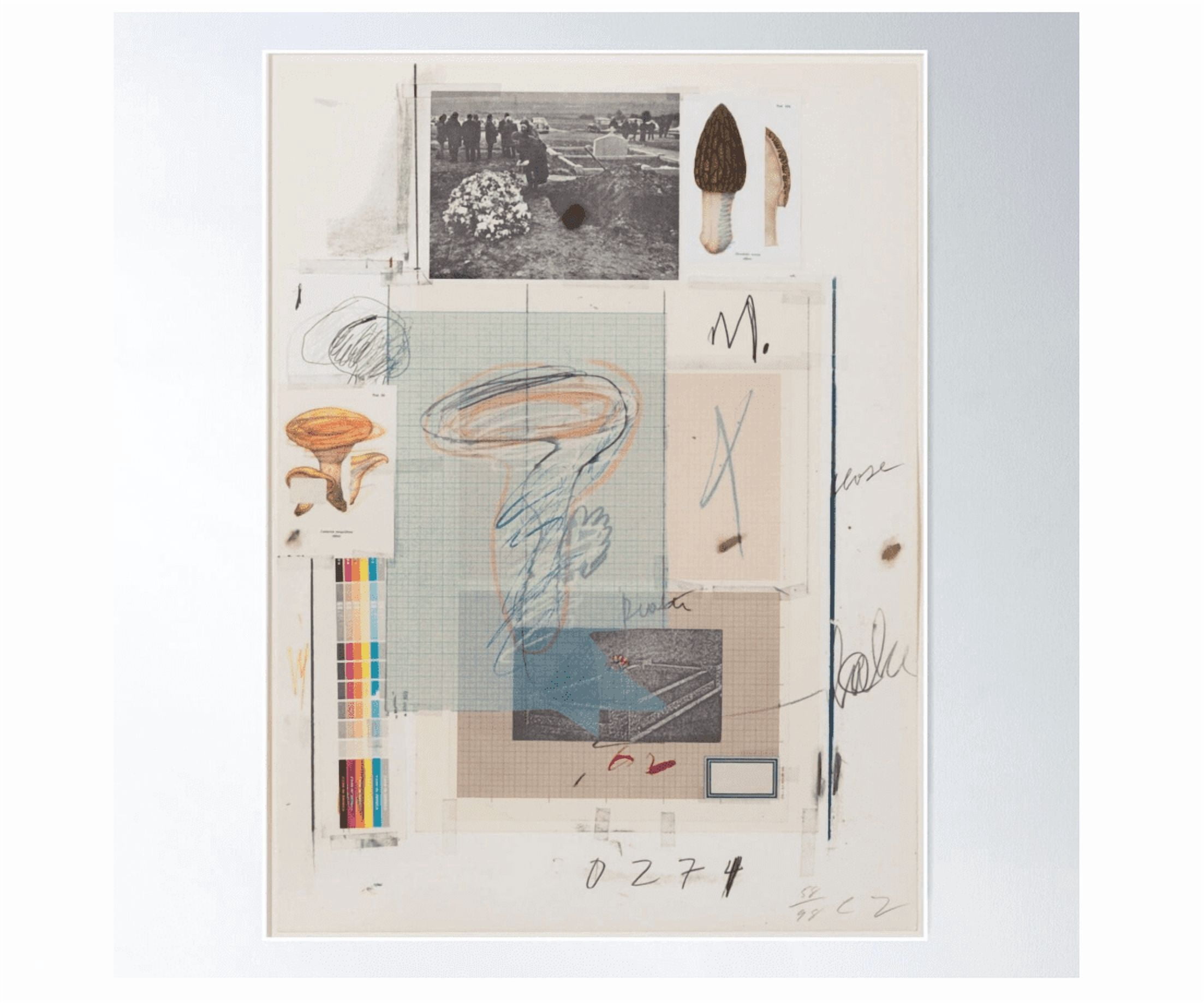 Cy Twombly Natural History Poster Wall Art Modern Wall Decor For Living ...