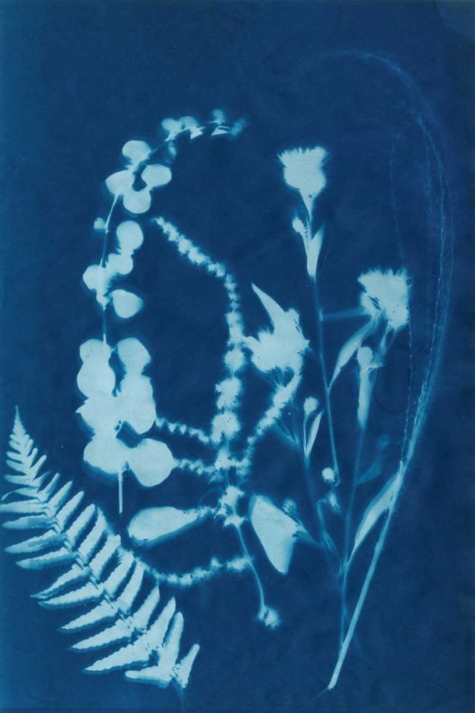 Cyanotype No.16 Poster Print - Jenna Guthrie (18 x 24) - Walmart.com