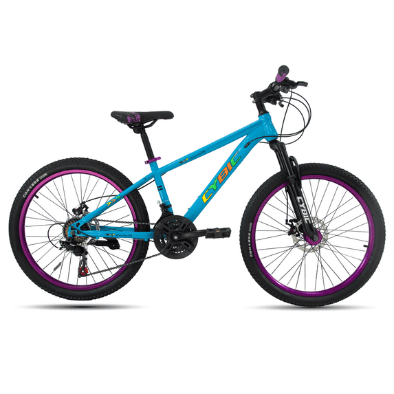 Cybic 24 inch Mountain Bike with Iron Frame,21Speed,Dual Disc Brakes Bicycle, Blue - Walmart.com