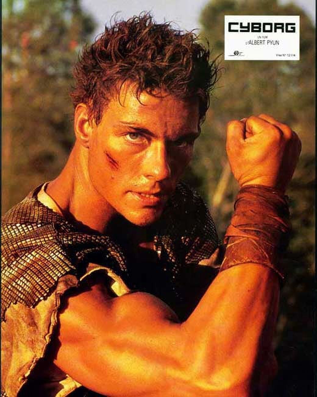 Cyborg - movie POSTER (Style D) (11" x 14") (1989) - Walmart.com