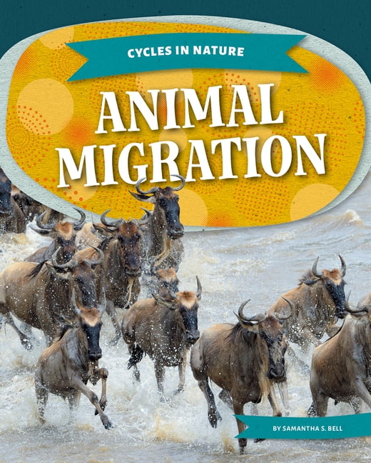 Cycles in Nature Animal Migration, (Hardcover) - Walmart.com